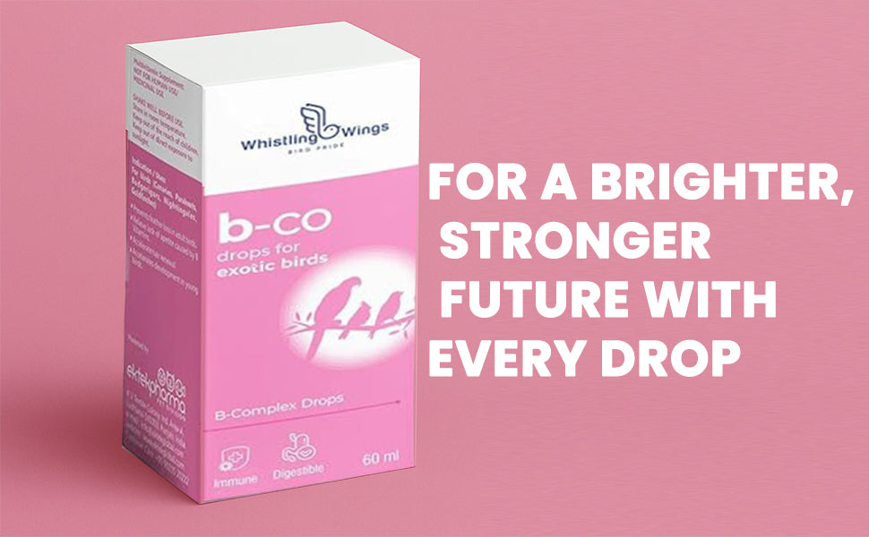 B-Co Drops for Exotic Birds 60ML B Complex Drops – Gorilla pets